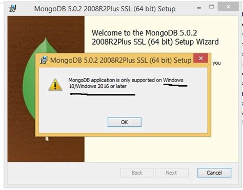 Install Mongodb On Windows Passlprof