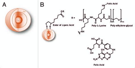 A General Scheme Of Core Shell Fe O Cu Au Nanoparticles B Download Scientific Diagram