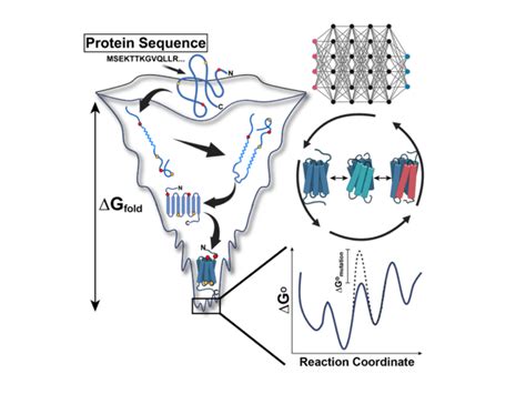 Integrated Alphafold2 And Deer Investigation Of The Conformational