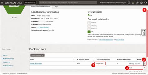 Use The Public Oci Flexible Network Load Balancer To Expose Your