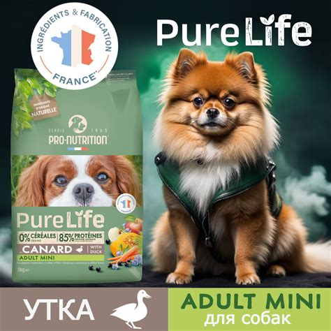 NEW Корм беззерновой сухой для собак мелких и средних пород Pure Life ...