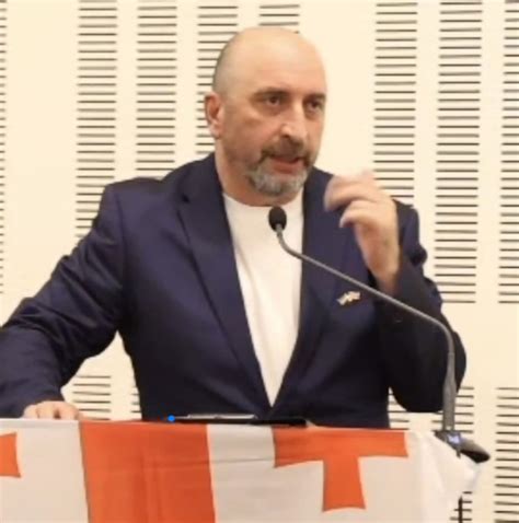 ️ხიხოსტანის სახანო აუცილებლად დაემხობა ცოტაც მოითმინეთ 🇬🇪🇺🇦👌 Mikheil Saakashvili Володимир