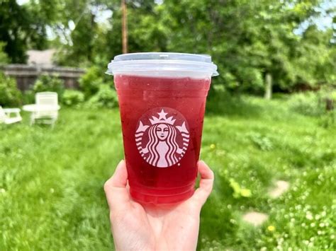 10 Best Summer Drinks At Starbucks In 2024 Ranked And Reviewed Coffee