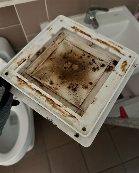 서귀포전기조명 강정동 강정지구골드클래스 아파트 욕실 힘펠환풍기교체 제주특별자치도 서귀포시 대륜동 비즈프로필