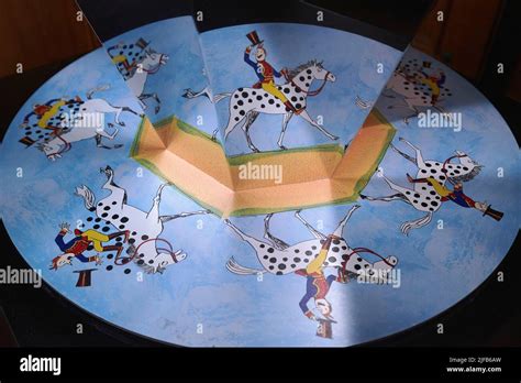 Switzerland Canton Of Vaud Lausanne The Historical Museum Optical