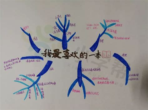 阅读 思维导图之我喜欢的一本书 搜狐大视野 搜狐新闻