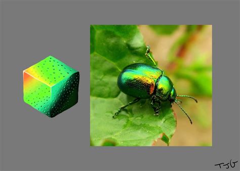 Texture Practice Iridescent Beetle Shell By Terriblyjadedgamer On Newgrounds