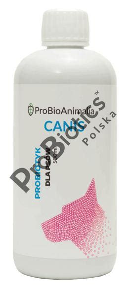 Probiotyk Dla Psów Probiotics Polska Pożyteczne Mikroorganizmy