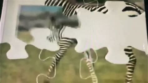 Sesame Street Zebra Puzzle Youtube