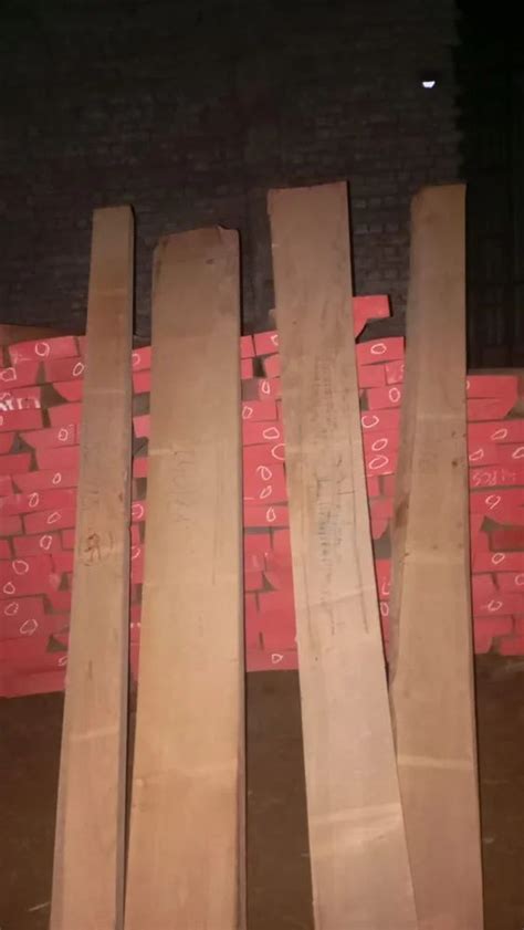 Steam Beech Wood Aab Grade At ₹ 2251 Cubic Feet Steam Beech Wood In New Delhi Id 2853716875488