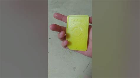 알로라 라이츄♡ 포켓몬 출처 강아지의 하루 Youtube