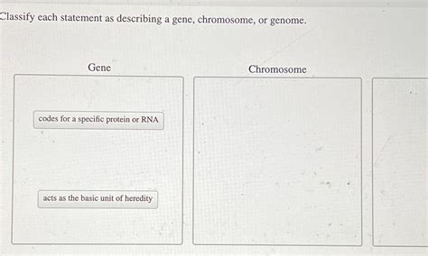 Solved Classify Each Statement As Describing A Gene
