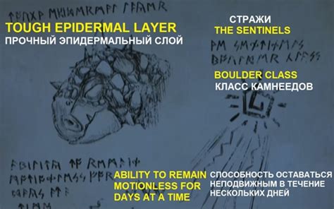 ЛОВИТЕ ЕЩЁ ПАРОЧКУ ПЕРЕВОДОВ ОТ АДМИНА Httyd Rtte Berk Dreamworks