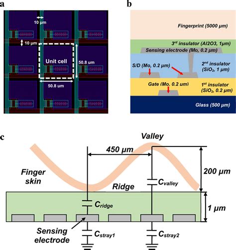 Design And Simulation To Confirm The Feasibility Of Fingerprint Sensor Download Scientific