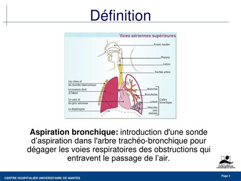 Aspiration Definition At Marcus Riedel Blog