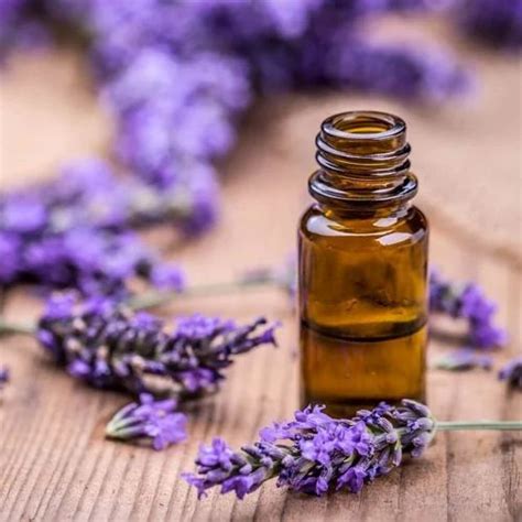 Lavender Essential Oil Packaging Size 25 Kg At ₹ 1950kg In Mumbai