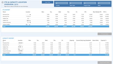 Power Bi Fte And Capacity Report