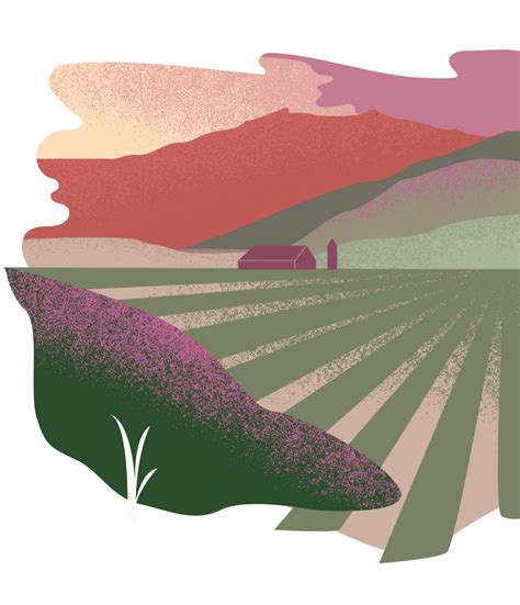 Policy Developments Next10