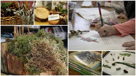 Gardening And Reggio Inspired Provocations Love Laughter And Literacy