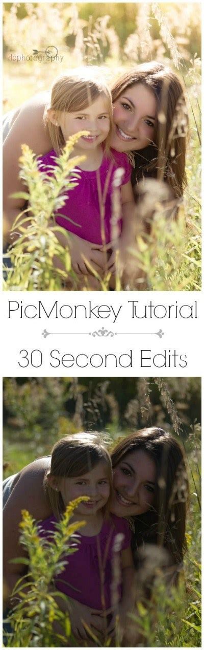 Picmonkey Tutorials Tips And Projects