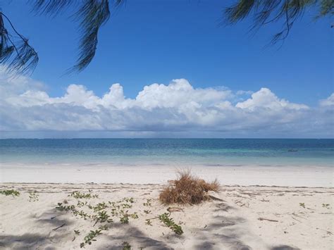 We Can Easily Make Diani The Miami Of Africa Without The Vice Pristine Beachesno Ferry