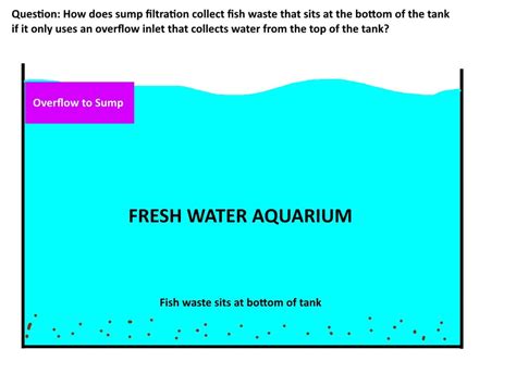 Fresh Water Tank All Sump Tutorials Uses Overflow Inlet How Would It
