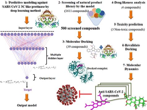 Depiction Of The Outline Of Predictive Modeling And Virtual Screening Download Scientific Diagram