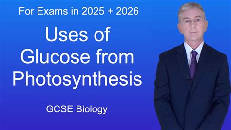 Gcse Biology Revision Uses Of Glucose From Photosynthesis Youtube