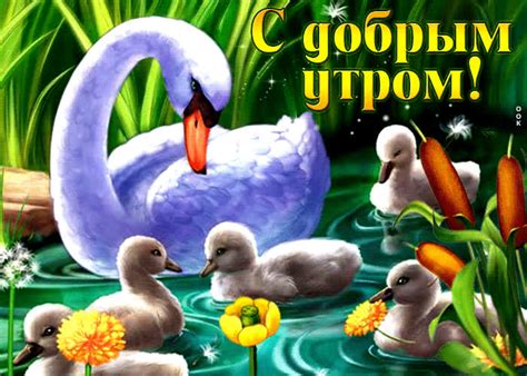 Вдохновенная и красочная гиф открытка С Добрым утром Скачать бесплатно