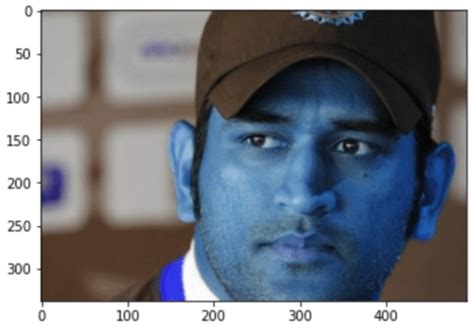 Feature Extraction And Image Classification Using Opencv Geeksforgeeks