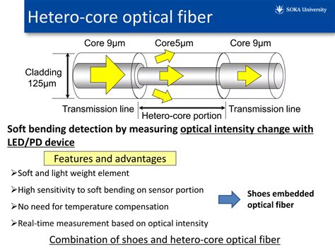 Gait Monitoring For Human Activity Recognition Using Perceptive Shoe Based On Hetero Core Fiber