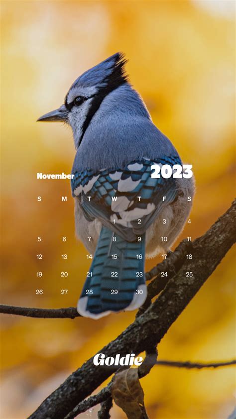 🔥 Free Download November Wallpaper Calendars Desktop Mobile By Mpatel