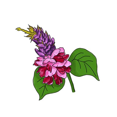 葛の花のイラストフリー素材 GreenStock40