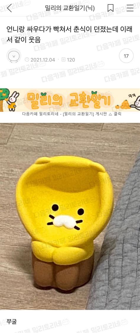 언니랑 싸우다가 화나서 춘식이 던졌는데