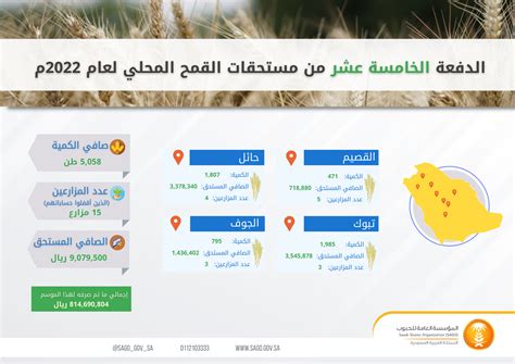 مؤسسة الحبوب تودع 908 مليون مستحقات الدفعة الـ 15 لمزارعي القمح