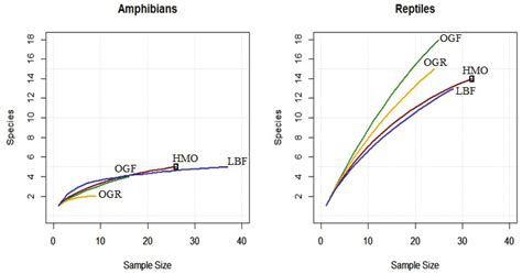Rarefaction Curves Displaying Sample Based Species Richness And