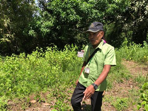 Negros Occidental Farmer Defies Age Barrier Earns College Degree At 69