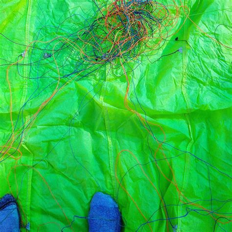Kait Strings🐓🐓🐓 Kait Spectra Flyrooster Blog On Tumblr
