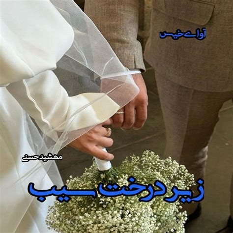 دانلود رمان زیر درخت سیب Pdf از مهشید حسنی معرفی رمان سرا
