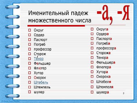 Как образуется множественное число существительных в английском языке