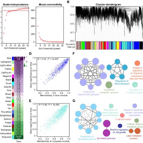 Identification Of Key Modules Through Wgcna Of The Proteomics Data A