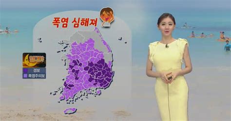 날씨 서울 올해 첫 열대야 256도폭염특보 확대·강화