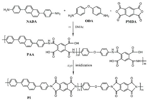 Scheme 2 Synthesis Of Naphthalene Ring Containing Polyimides