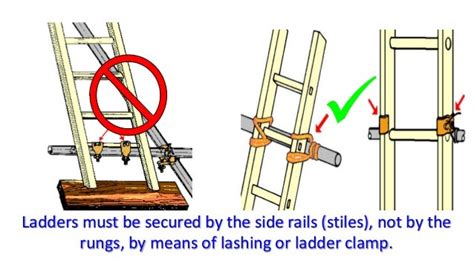 Scaffold