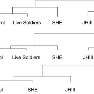 Hierarchical Clustering Results Of Gene Expression Pattern Clustered By