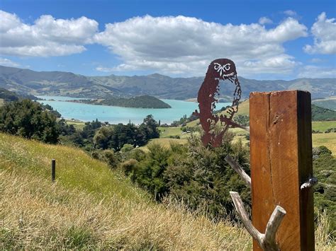 Te Wepu Intrepid Pod Retreats Campground Reviews Akaroa New Zealand