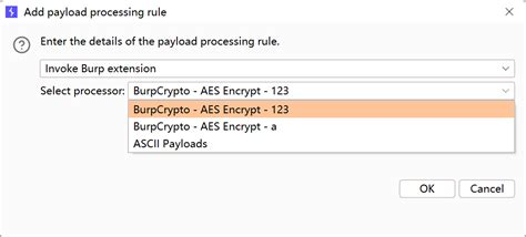 Rsa Aes Issue Whwlsfb Burpcrypto Github