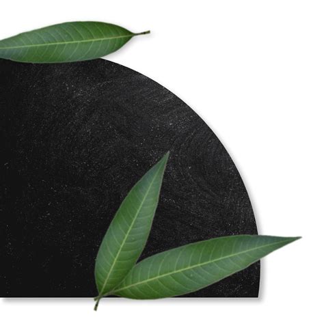 Wealthsmith Mangosmith Desserts