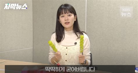 본인 가게 싱크대 막힌다고 도로 하수구에 설탕물 버리는 탕후루 업체 유머 움짤 이슈 에펨코리아