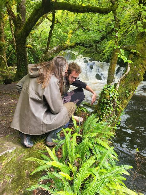 Fern Identification Workshop Ellen Hutchins The Story